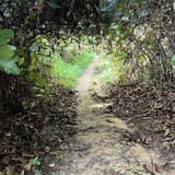 Bukit Serdang Trail, Selangor, Malaysia - 339 Reviews, Map | AllTrails