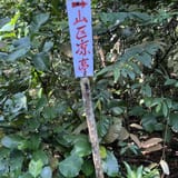 Bukit Serdang Trail, Selangor, Malaysia - 339 Reviews, Map | AllTrails