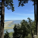 Dungeness Spit Trail, Washington - 1,612 Reviews, Map | AllTrails