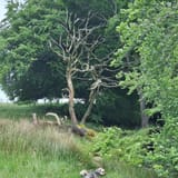 White Coppice and Great Hill Circular, Lancashire, England - 467 ...