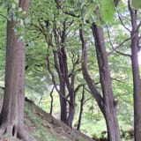 White Coppice and Great Hill Circular, Lancashire, England - 467 ...