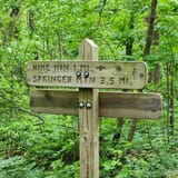 Appalachian Approach Trail to Springer Mountain, Georgia - 1,146 ...