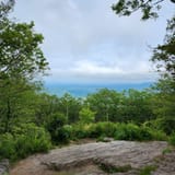 Appalachian Approach Trail to Springer Mountain, Georgia - 1,146 ...