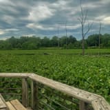 Ohio and Erie Canal Towpath: Botzum to Everett, Ohio - 772 Reviews, Map ...