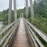 The Manistee River Loop Trail, Michigan - 1,971 Reviews, Map | AllTrails