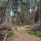 The Drake Stone and Harbottle Castle Circular, Northumberland, England ...