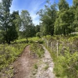 The Drake Stone and Harbottle Castle Circular, Northumberland, England ...