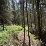 The Drake Stone and Harbottle Castle Circular, Northumberland, England ...