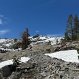 Tamarack Lake, California - 906 Reviews, Map | AllTrails
