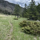 North Fork Big Thompson River Trail Via Dunraven Trailhead, Colorado ...