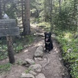 North Fork Big Thompson River Trail Via Dunraven Trailhead, Colorado ...