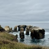 Point Buchon Trail, California - 608 Reviews, Map | AllTrails