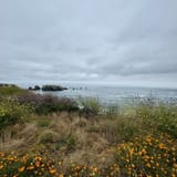 Point Buchon Trail, California - 608 Reviews, Map | AllTrails