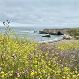 Point Buchon Trail, California - 608 Reviews, Map | AllTrails