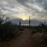 Coon Bluff Trail, Arizona - 775 Reviews, Map | AllTrails