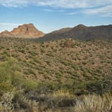 Coon Bluff Trail, Arizona - 775 Reviews, Map | AllTrails