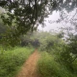Temescal Canyon Trail, California - 10,426 Reviews, Map | AllTrails