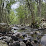Reeves Brook Loop Trail, New York - 4,721 Reviews, Map | AllTrails