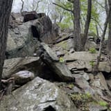 Reeves Brook Loop Trail, New York - 4,721 Reviews, Map | AllTrails
