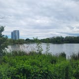 High Park Loop, Ontario, Canada - 1,154 Reviews, Map | AllTrails