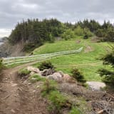 Middle Head Trail, Nova Scotia, Canada - 1,312 Reviews, Map | AllTrails