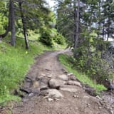 Middle Head Trail, Nova Scotia, Canada - 1,312 Reviews, Map | AllTrails