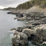 Middle Head Trail, Nova Scotia, Canada - 1,312 Reviews, Map | AllTrails