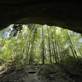 Hazard Cave and Natural Bridge Trail, Tennessee - 367 Reviews, Map ...