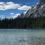Karst Spring Trail, Alberta, Canada - 913 Reviews, Map | AllTrails