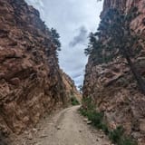 Fowler Trail, Colorado - 2,182 Reviews, Map | AllTrails