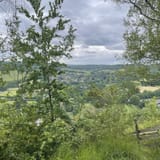 Box Hill Stepping Stones Walk, Surrey, England - 1,187 Reviews, Map ...