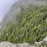 Mount Jackson and Mount Webster Trail Loop, New Hampshire - 2,262 ...