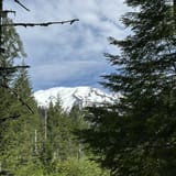 June Lake Trail, Washington - 834 Reviews, Map | AllTrails