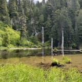 June Lake Trail, Washington - 834 Reviews, Map | AllTrails