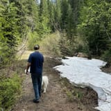 June Lake Trail, Washington - 834 Reviews, Map | AllTrails