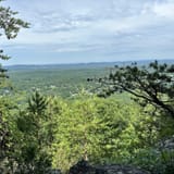 George W. Disney Trail, Georgia - 587 Reviews, Map | AllTrails