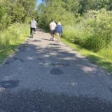 Tobico Marsh Trail, Michigan - 648 Reviews, Map | AllTrails