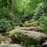 Kelly's Run Loop Trail, Pennsylvania - 3,473 Reviews, Map | AllTrails
