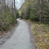 Nugget Falls Trail, Alaska - 1,229 Reviews, Map | AllTrails