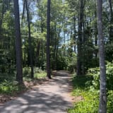 Market Common Trail, South Carolina - 190 Reviews, Map | AllTrails