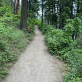 Tubbs Hill, Idaho - 4,267 Reviews, Map | AllTrails