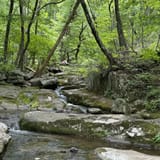 Rose River Trail, Virginia - 4,926 Reviews, Map | AllTrails