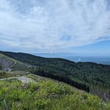 Cable Line Trail to West Tiger #3, Washington - 2,284 Reviews, Map ...