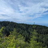 Cable Line Trail to West Tiger #3, Washington - 2,284 Reviews, Map ...