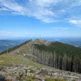 Cable Line Trail to West Tiger #3, Washington - 2,284 Reviews, Map ...