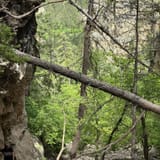 Community Caves Trail, South Dakota - 622 Reviews, Map | AllTrails