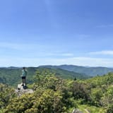 Sam Knob Trail, North Carolina - 1,477 Reviews, Map | AllTrails