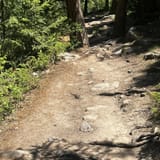 Independence Mountain Trail, Colorado - 5,176 Reviews, Map | AllTrails