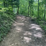 Sharp Top Trail, Virginia - 2,899 Reviews, Map | AllTrails