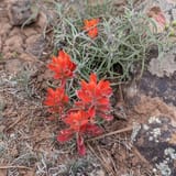 Ice Cave via Blue Ridge Cave Trail No. 608, Arizona - 525 Reviews, Map ...